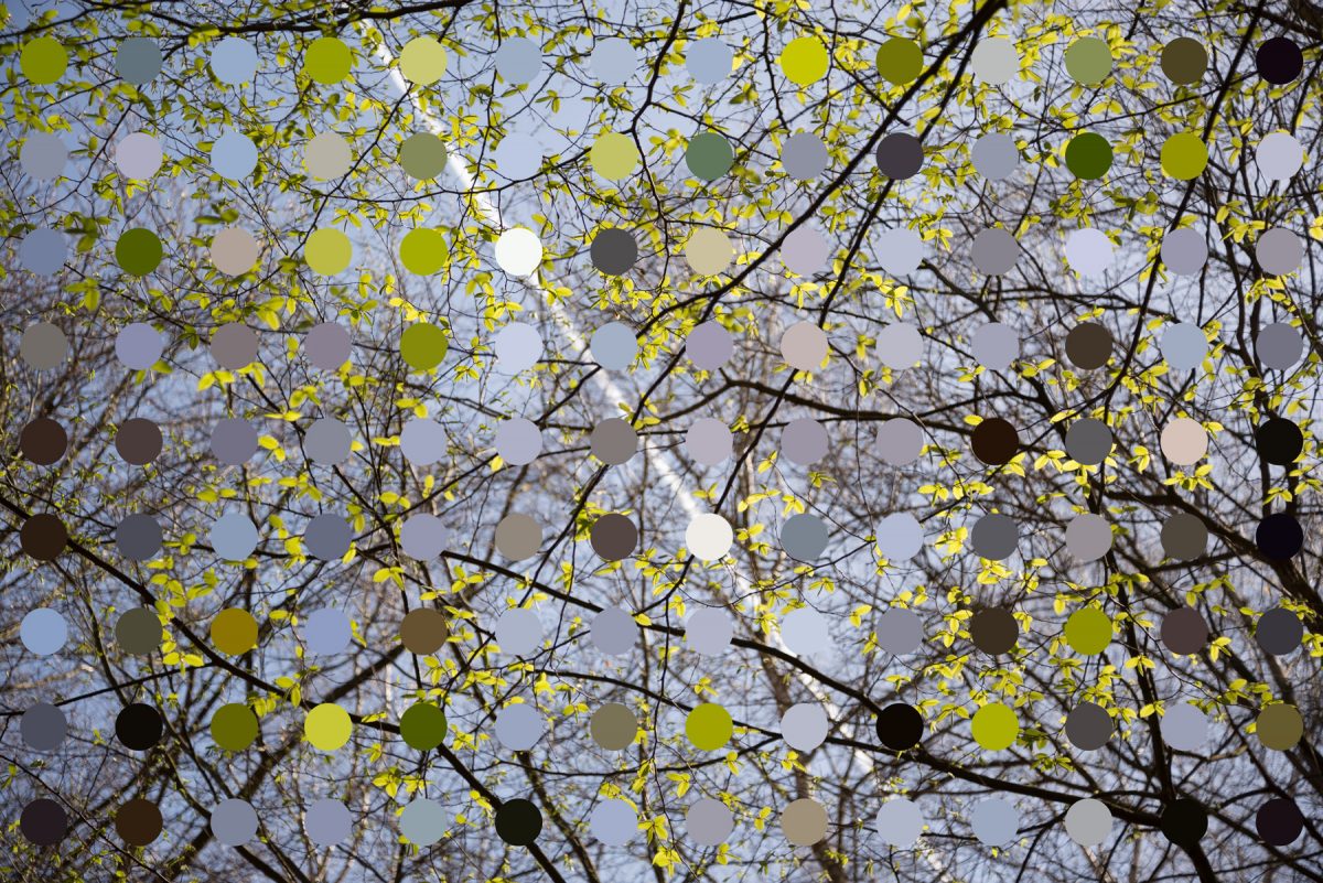 Landscape with Dots no. 12 – Matthew Rudd Art